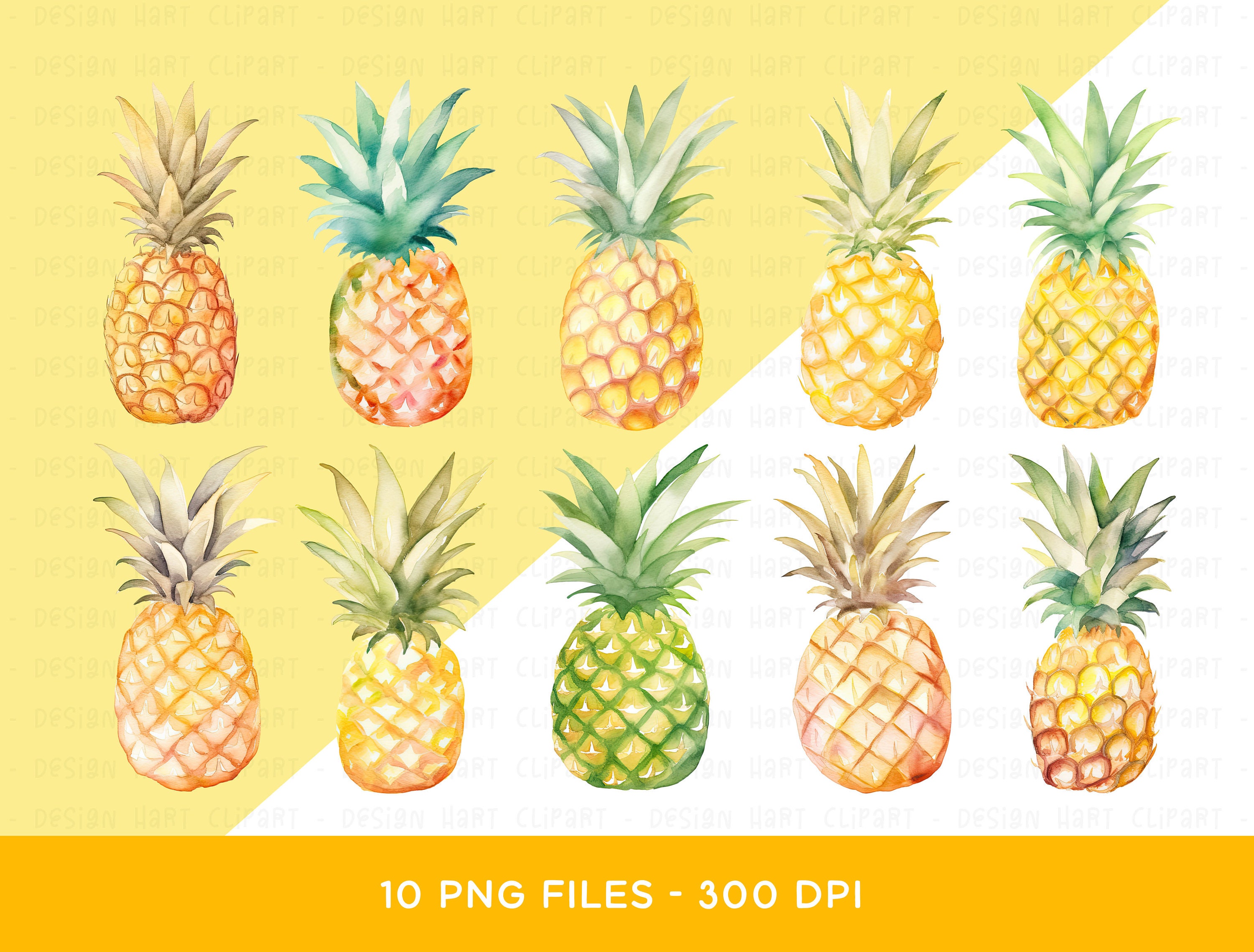 Pineapple Clipart Bundle, Watercolor Tropical Fruit PNG Hand Painted ...
