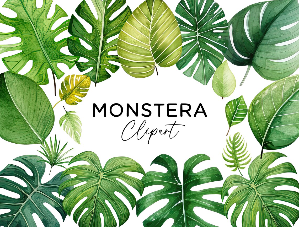 Monstera Leaf Clipart Bundle, Watercolor Greenery PNG Download Painted ...