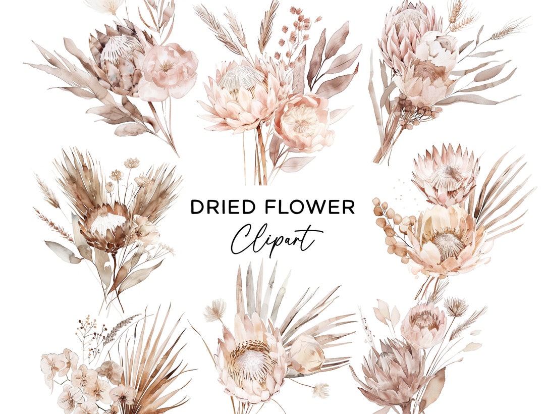 Dried Flower Clipart Bundle - Watercolor Boho Palm Leaf Floral Protea ...