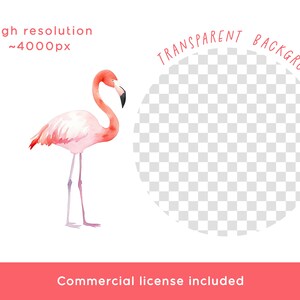 Flamingo Clipart Bundle, Watercolor Tropical Flamingoes & Leaf Clip Art ...