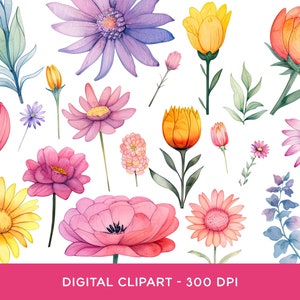 Watercolor Flower Clipart Bundle, Wildflower Graphics PNG Digital ...