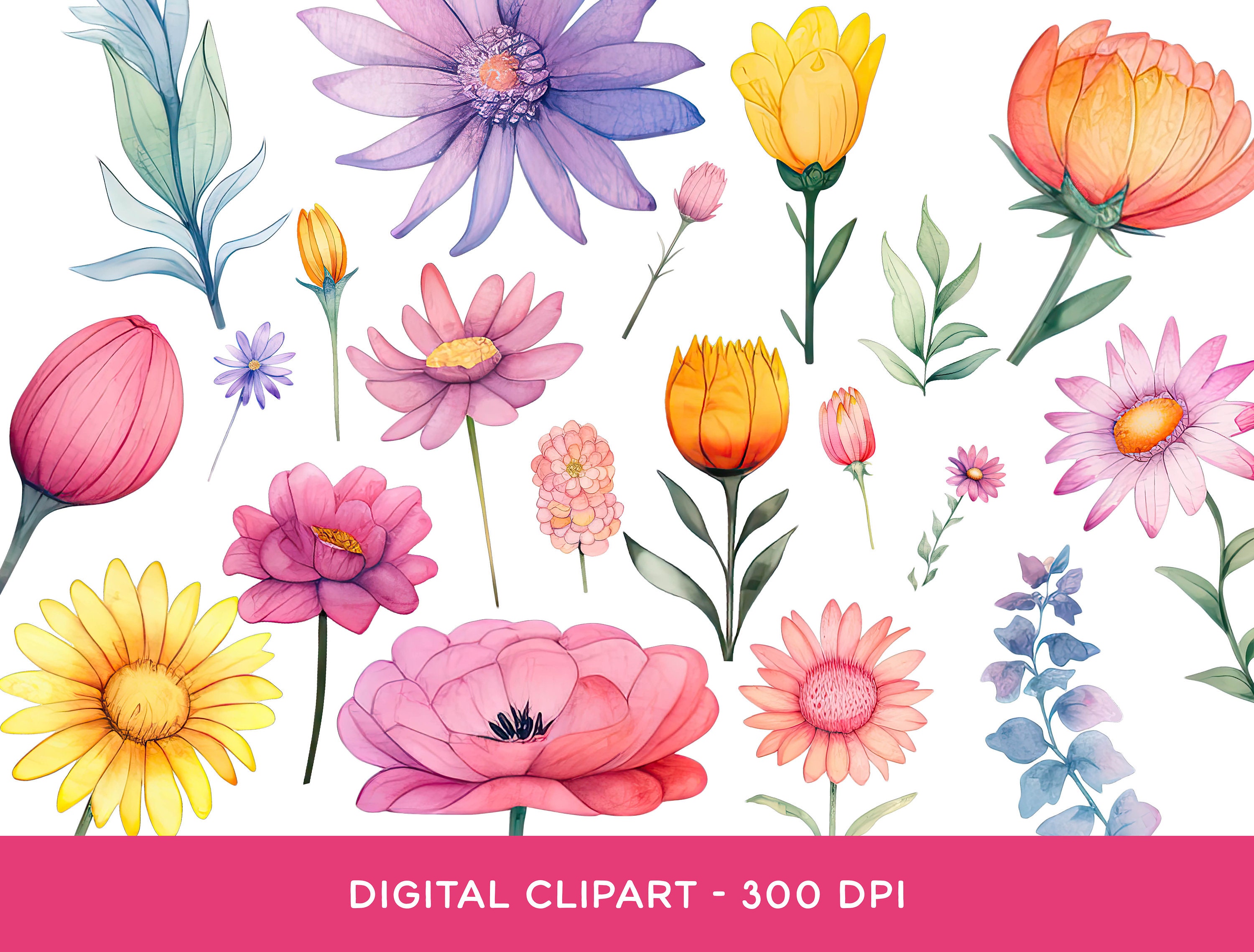 Watercolor Flower Clipart Bundle Wildflower Graphics PNG - Etsy