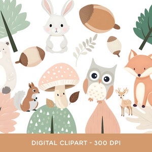 Woodland Animal Clipart Bundle, PNG Graphics Digital Download ...