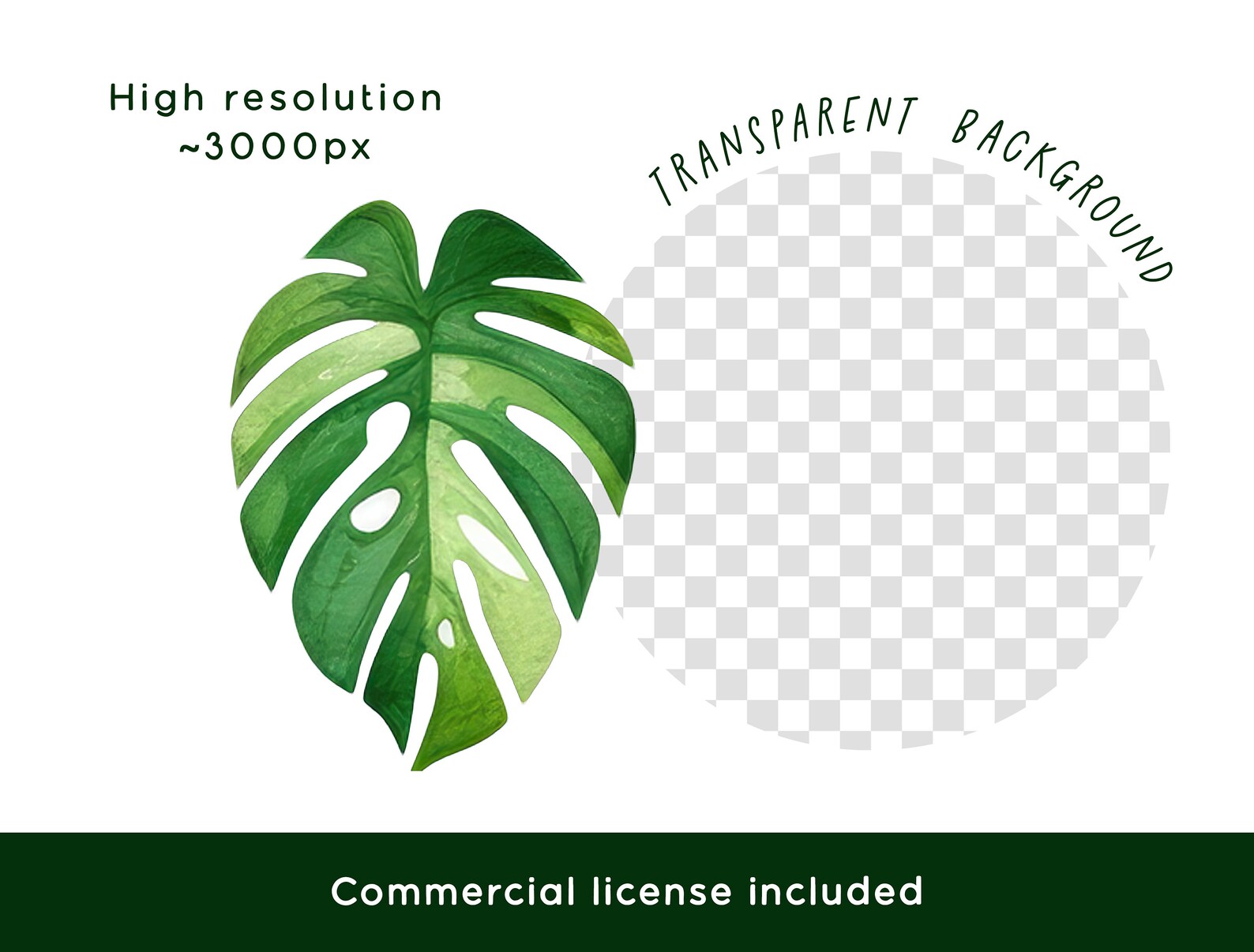 Monstera Leaf Clipart Bundle, Watercolor Greenery PNG Download Painted ...