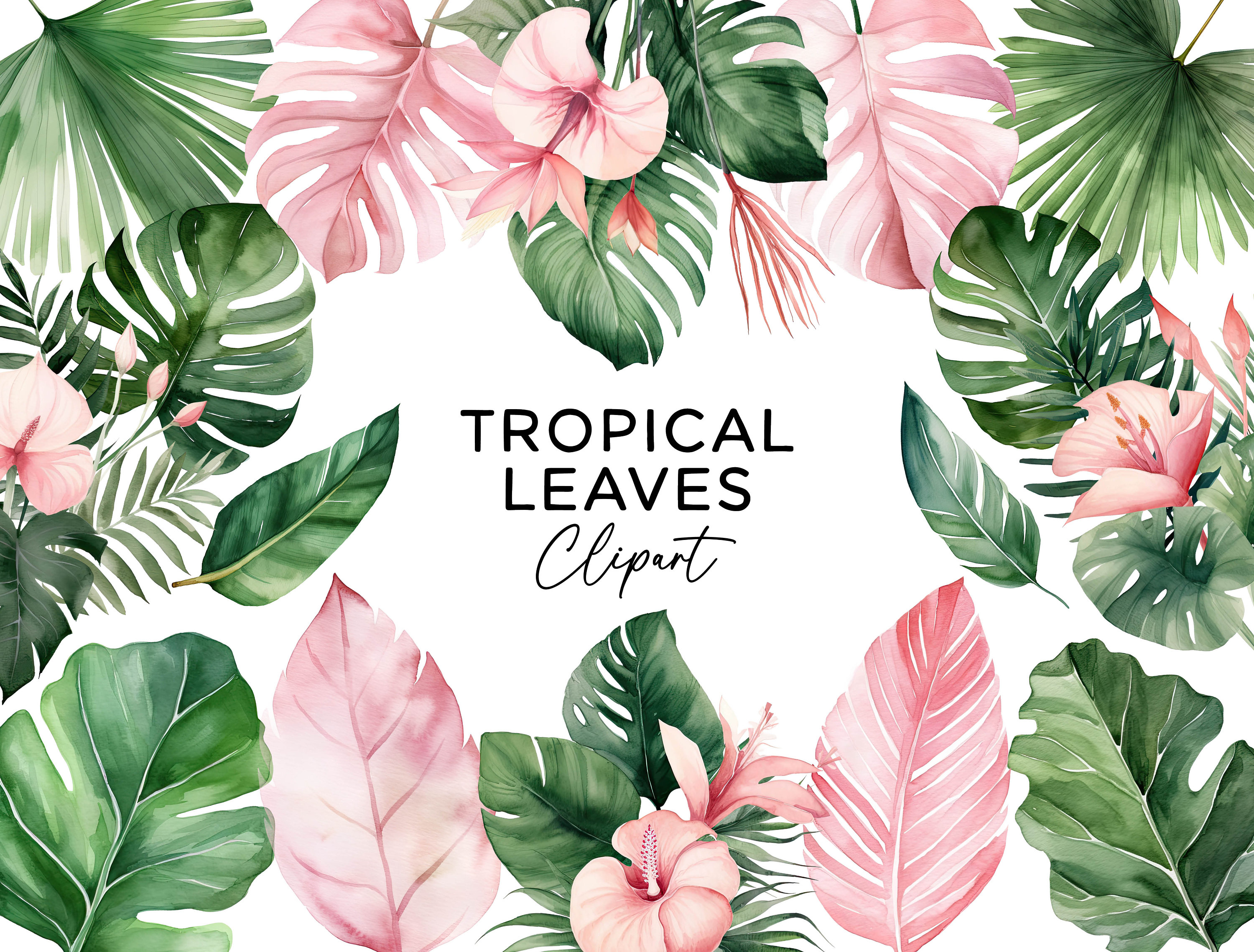 Tropical Leaf Clipart Bundle, Watercolor Monstera Botanical Graphics ...