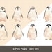 Penguins Clipart Bundle Set, Watercolor Pastel Boho Penguin PNG Digital ...