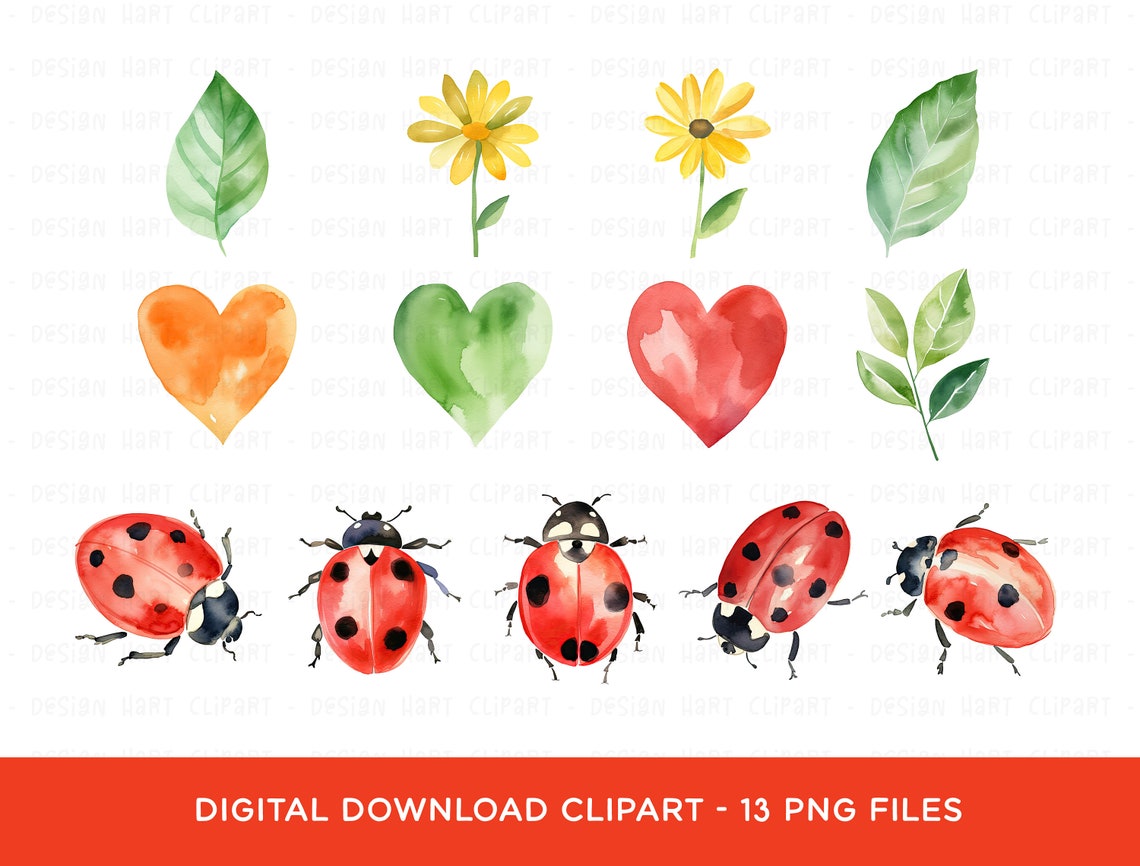 Ladybug Clipart Bundle, Watercolor Cute Ladybird Bugs PNG Insect ...