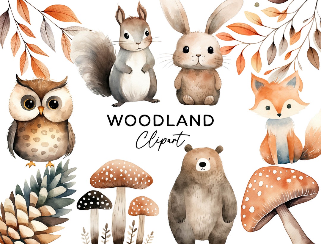 Woodland Animals Watercolor Clipart, Forest PNG Bundle Cute Fox Bear ...
