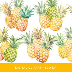 Pineapple Clipart Bundle, Watercolor Tropical Fruit PNG Hand Painted ...