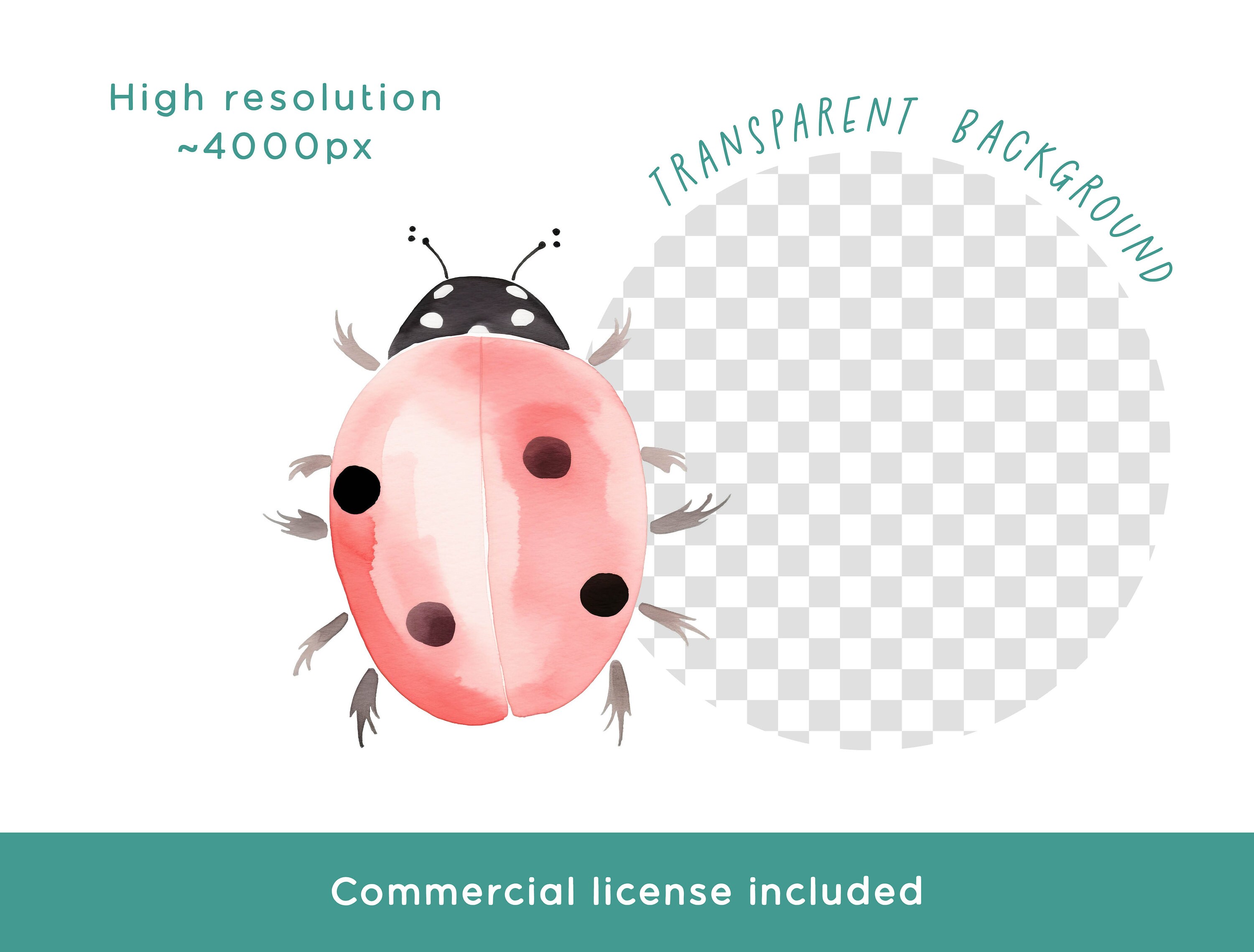 Ladybug Clipart Bundle Set - Watercolor Rainbow Ladybird Insect PNG for ...