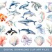 Ocean Creatures PNG Clipart Bundle - Sharks Whales Fish - Soft Pastel ...