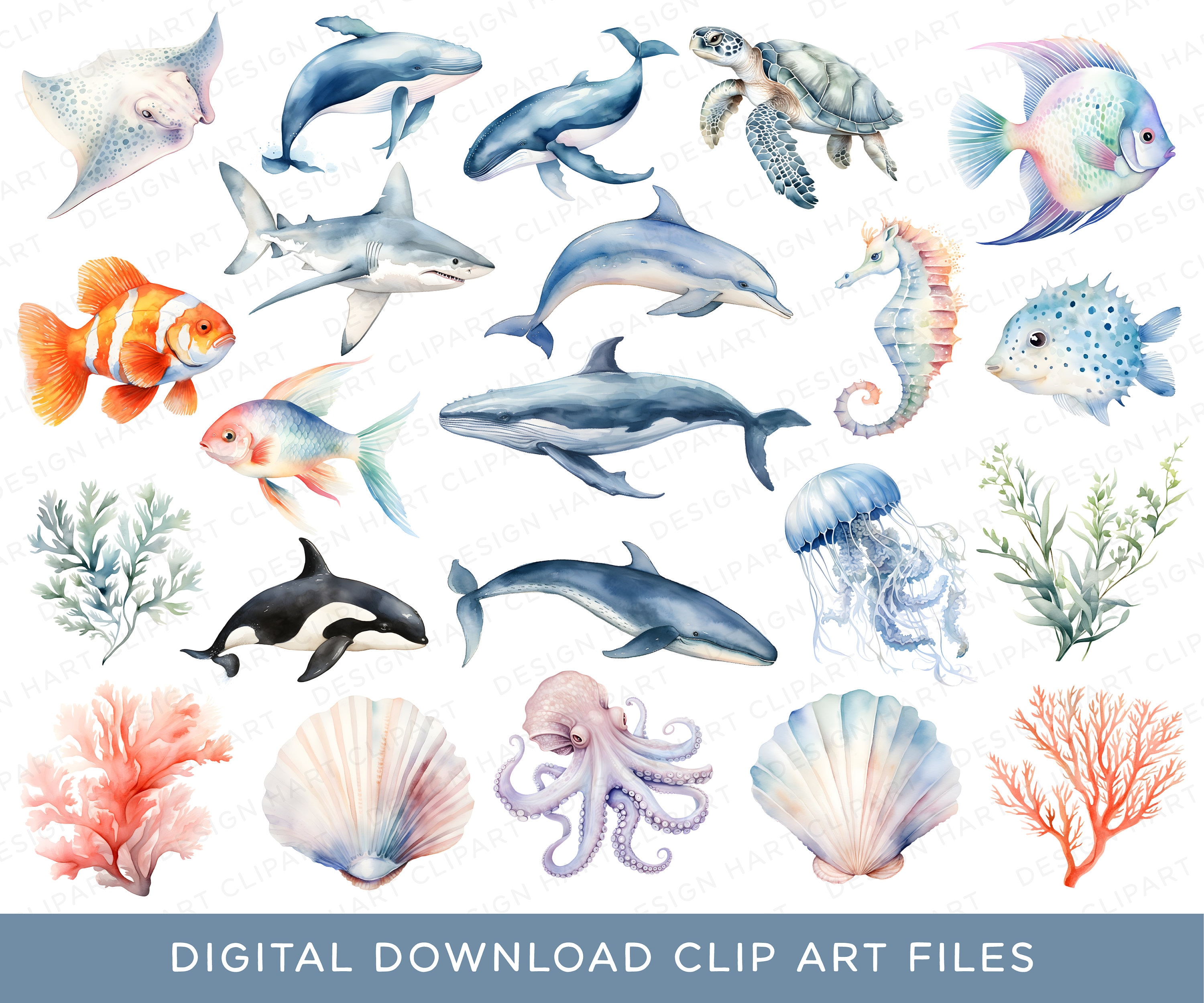 Ocean Creatures PNG Clipart Bundle Sharks Whales Fish Soft Pastel ...