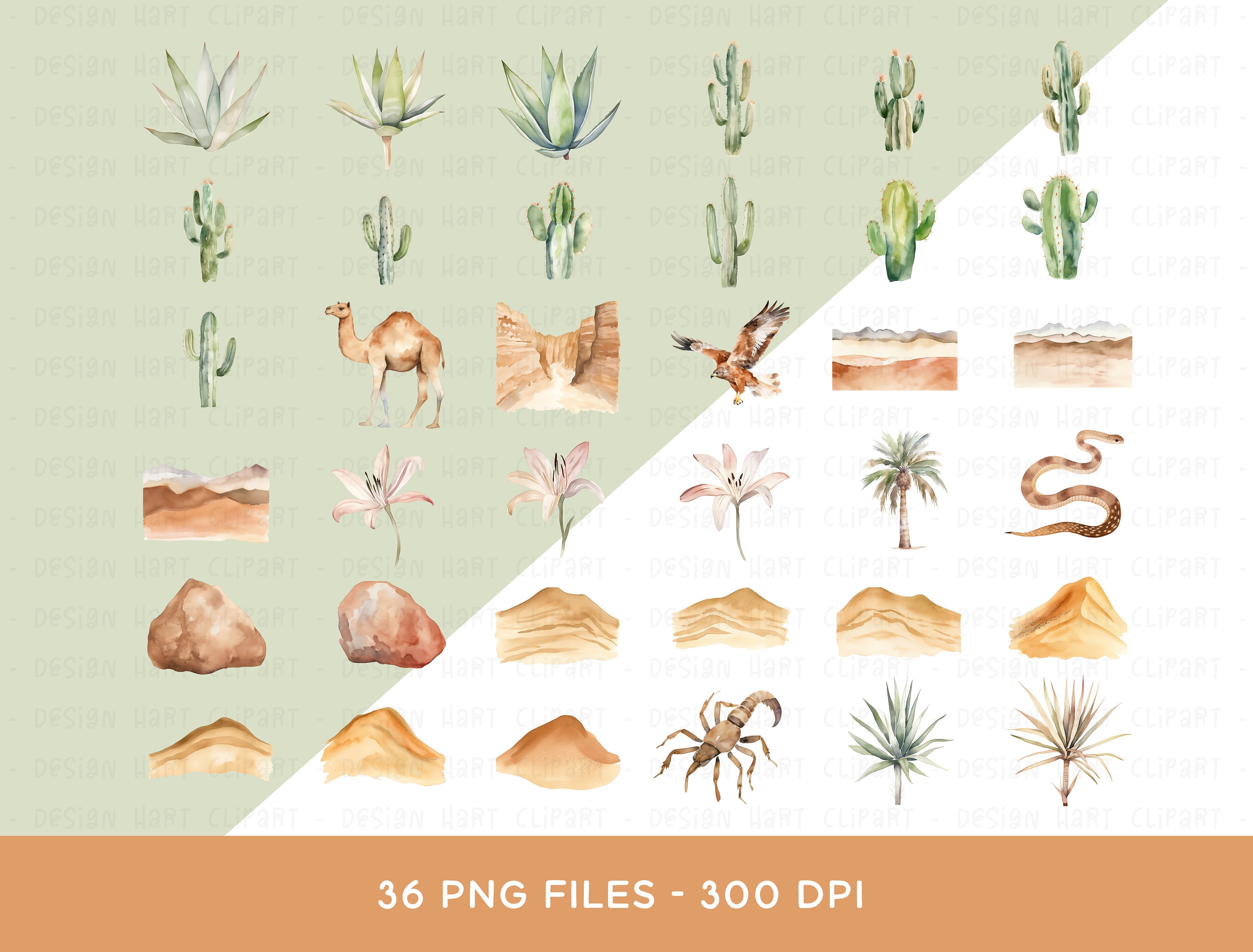 Desert Clipart Bundle Outback Watercolor Camel Eagle Cactus Snake Scorpion Hand Painted PNG for ...