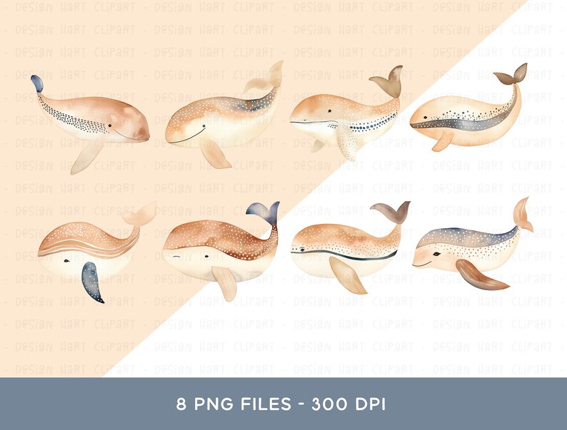 Whale Clipart Bundle Set, Watercolor Boho Whales, Ocean Creatures, PNG ...