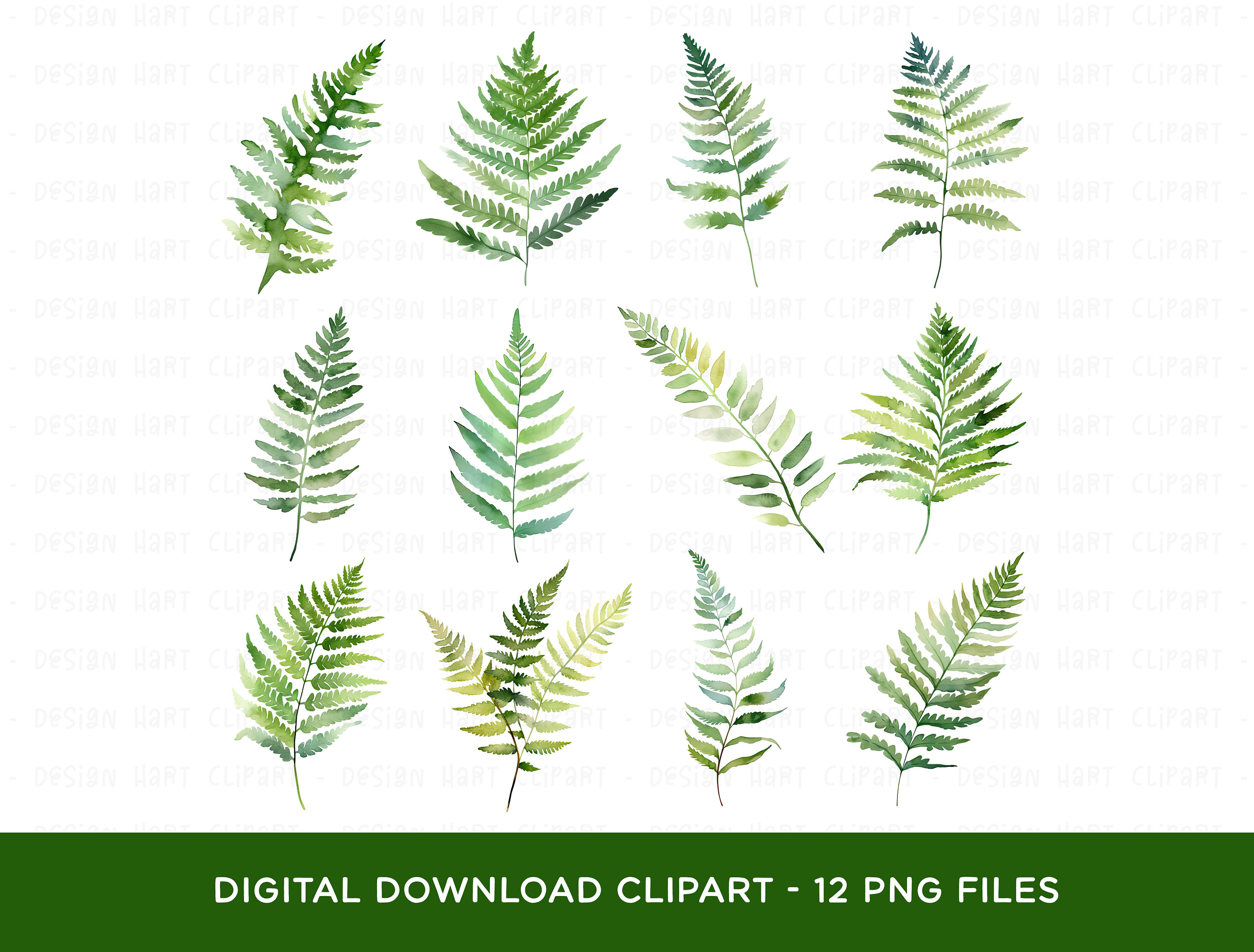 Watercolor Ferns Clipart Bundle, PNG Leaf Greenery for Wedding ...