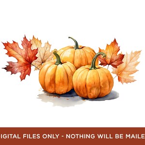 Autumn Clipart Bundle, Watercolor Fall Decor Pumpkin Leaves Boho ...