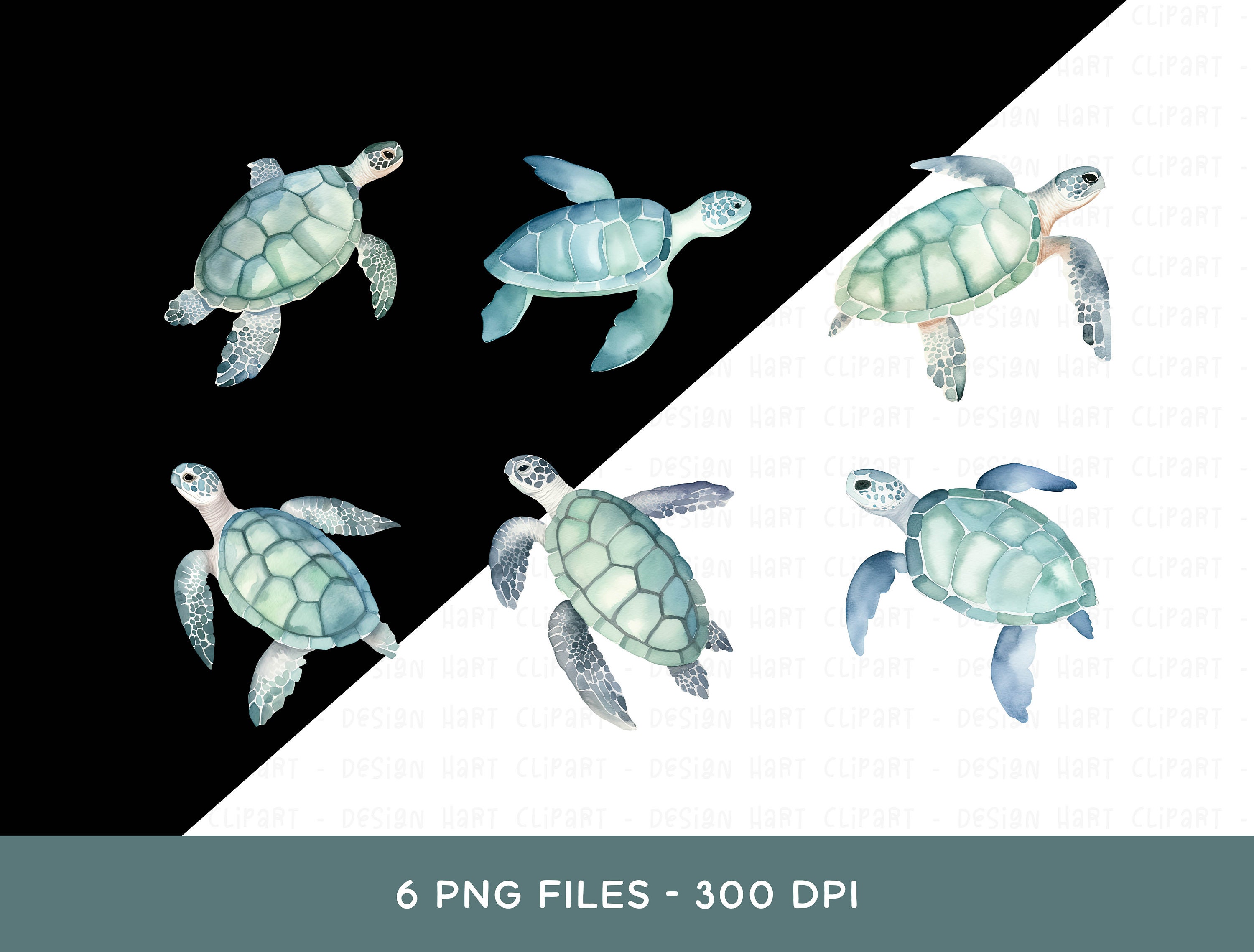 Sea Turtle Clipart Set, Watercolor Ocean Creature Graphics Blue Green ...