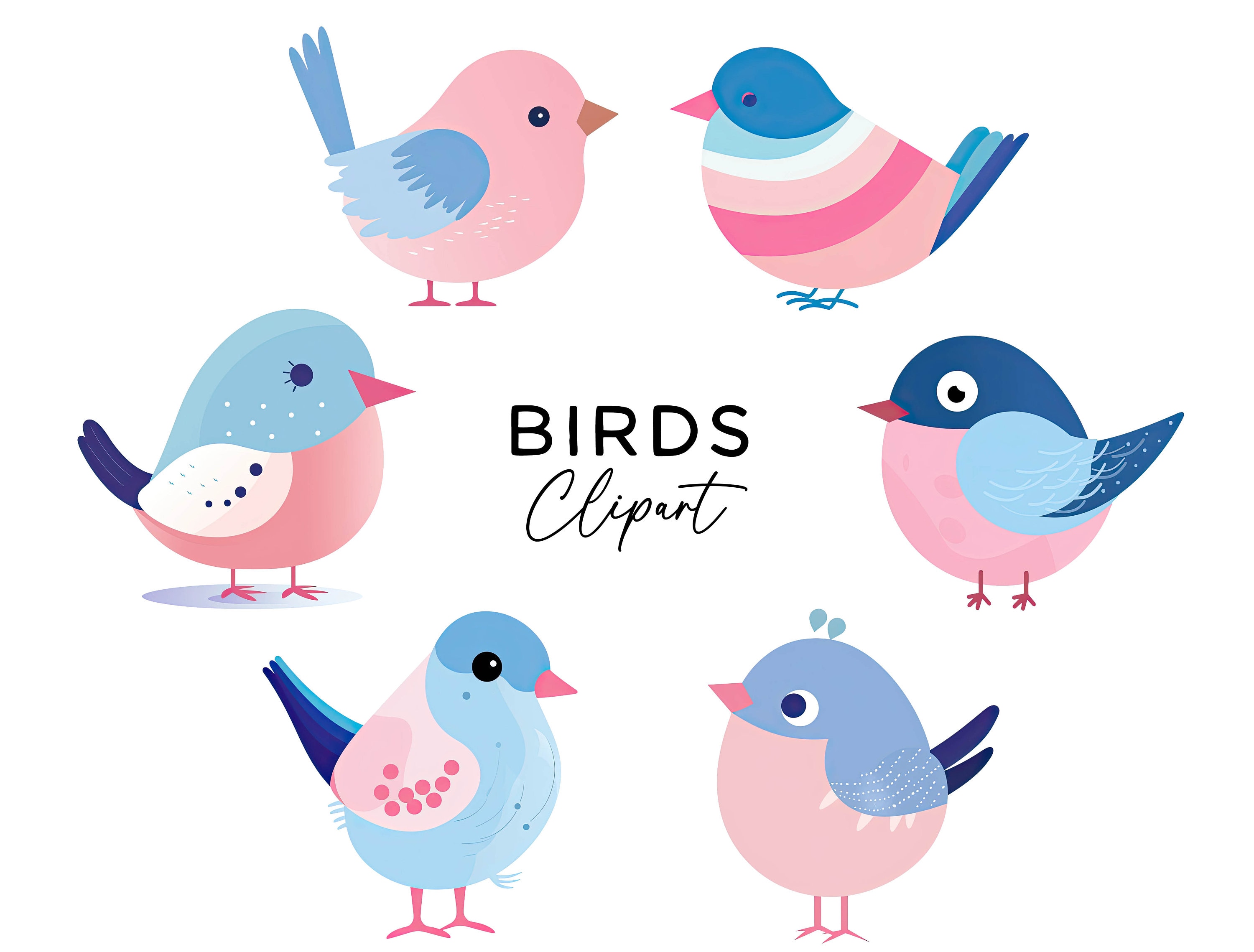 Bird Clipart Bundle Watercolor Cute Pastel Colorful Blue & Pink Birds ...
