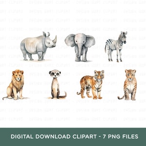 Zoo Animal Clipart Bundle, Watercolor Safari PNG Graphics, Commercial ...