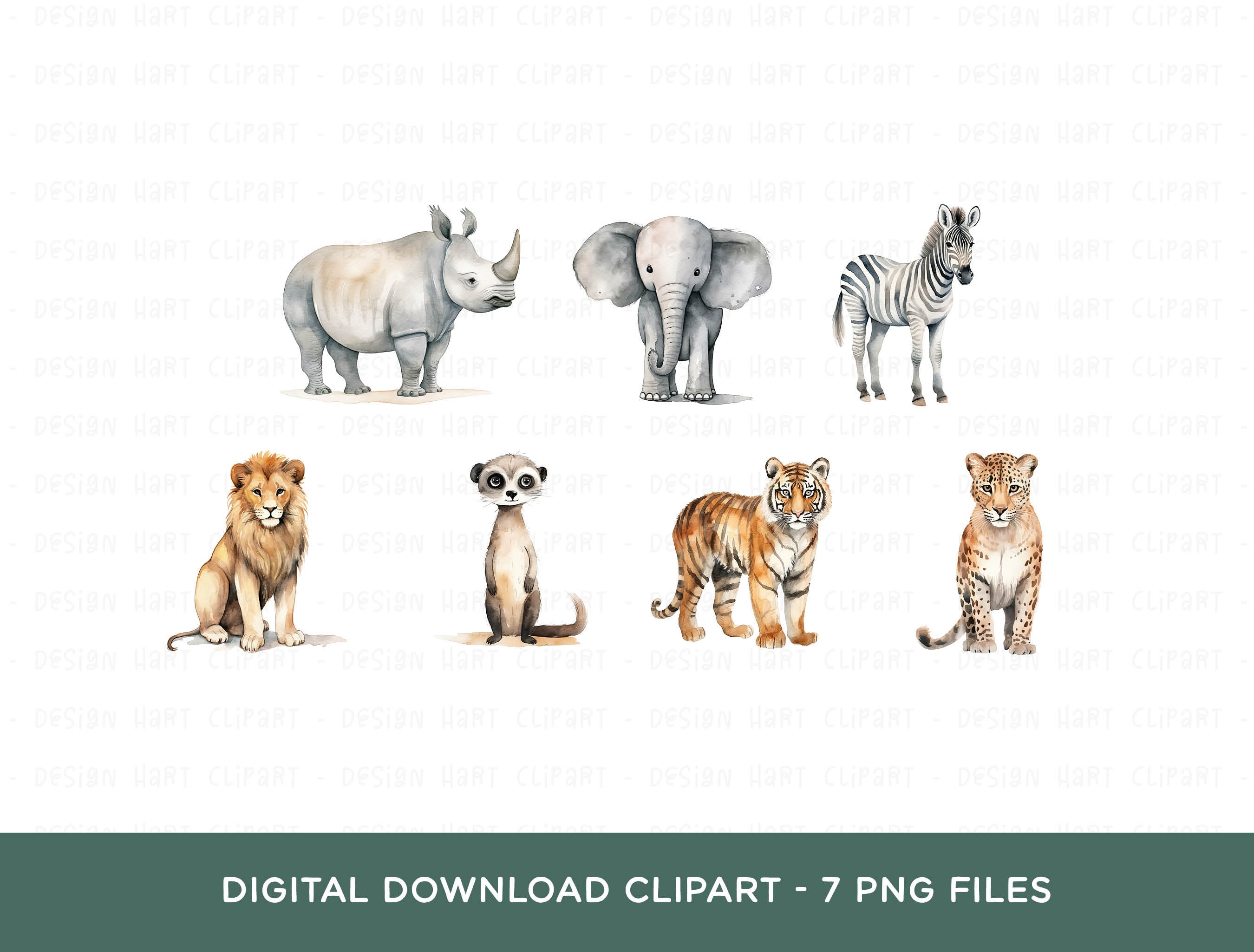 Zoo Animal Clipart Bundle, Watercolor Safari PNG Graphics, Commercial ...
