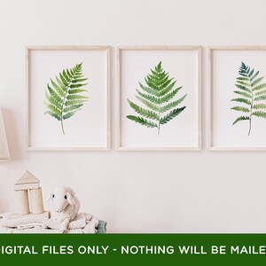 Watercolor Ferns Clipart Bundle, PNG Leaf Greenery for Wedding ...