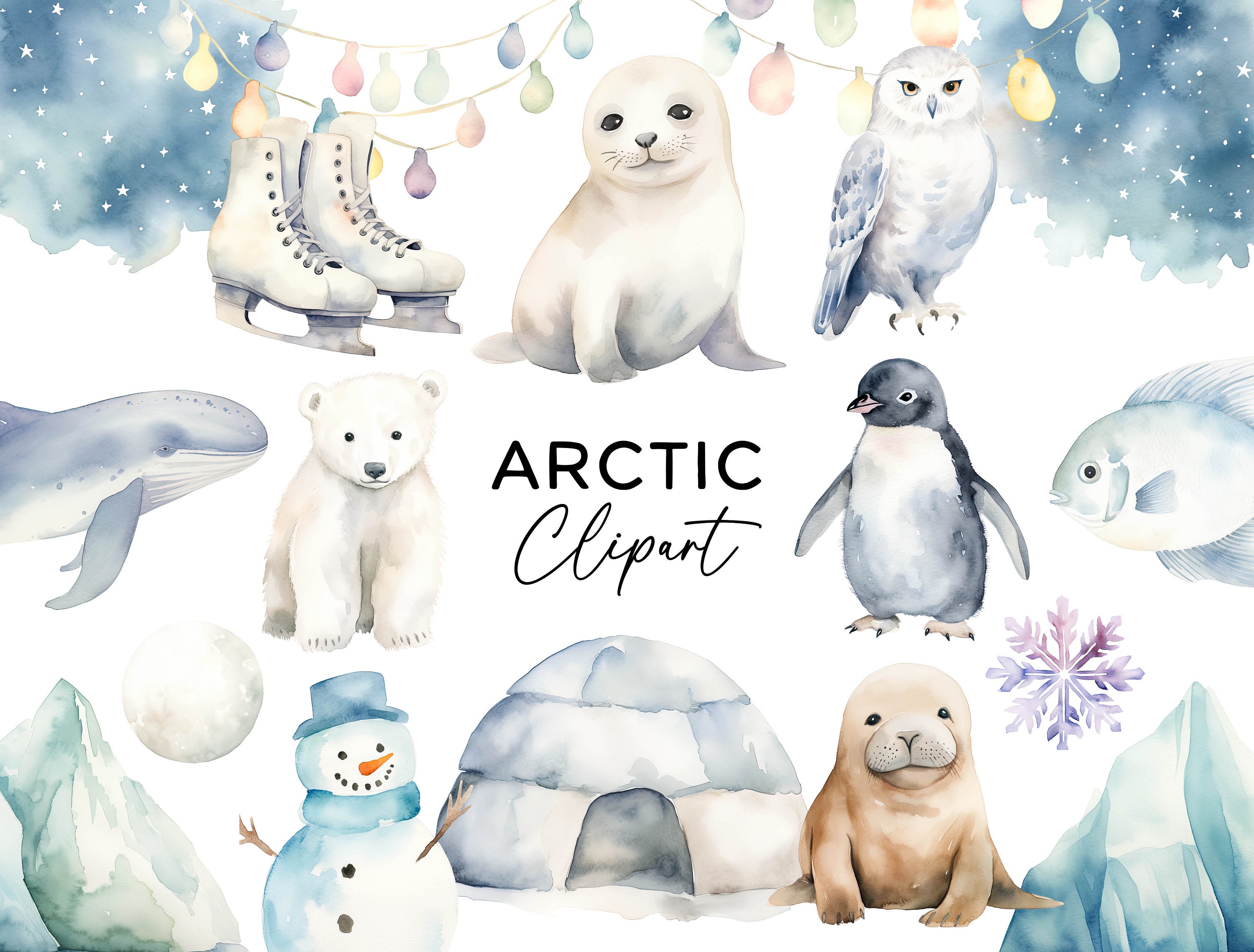 Arctic Animals Clipart Bundle Watercolor Seal Penguin Whale Iceberg PNG ...