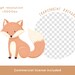 Woodland Animal Clipart Bundle, PNG Graphics Digital Download ...