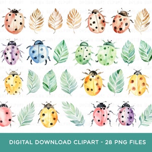 Ladybug Clipart Bundle Set - Watercolor Rainbow Ladybird Insect PNG for ...