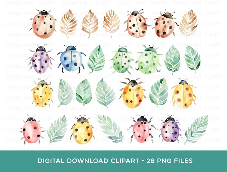 Ladybug Clipart Bundle Set - Watercolor Rainbow Ladybird Insect PNG for ...