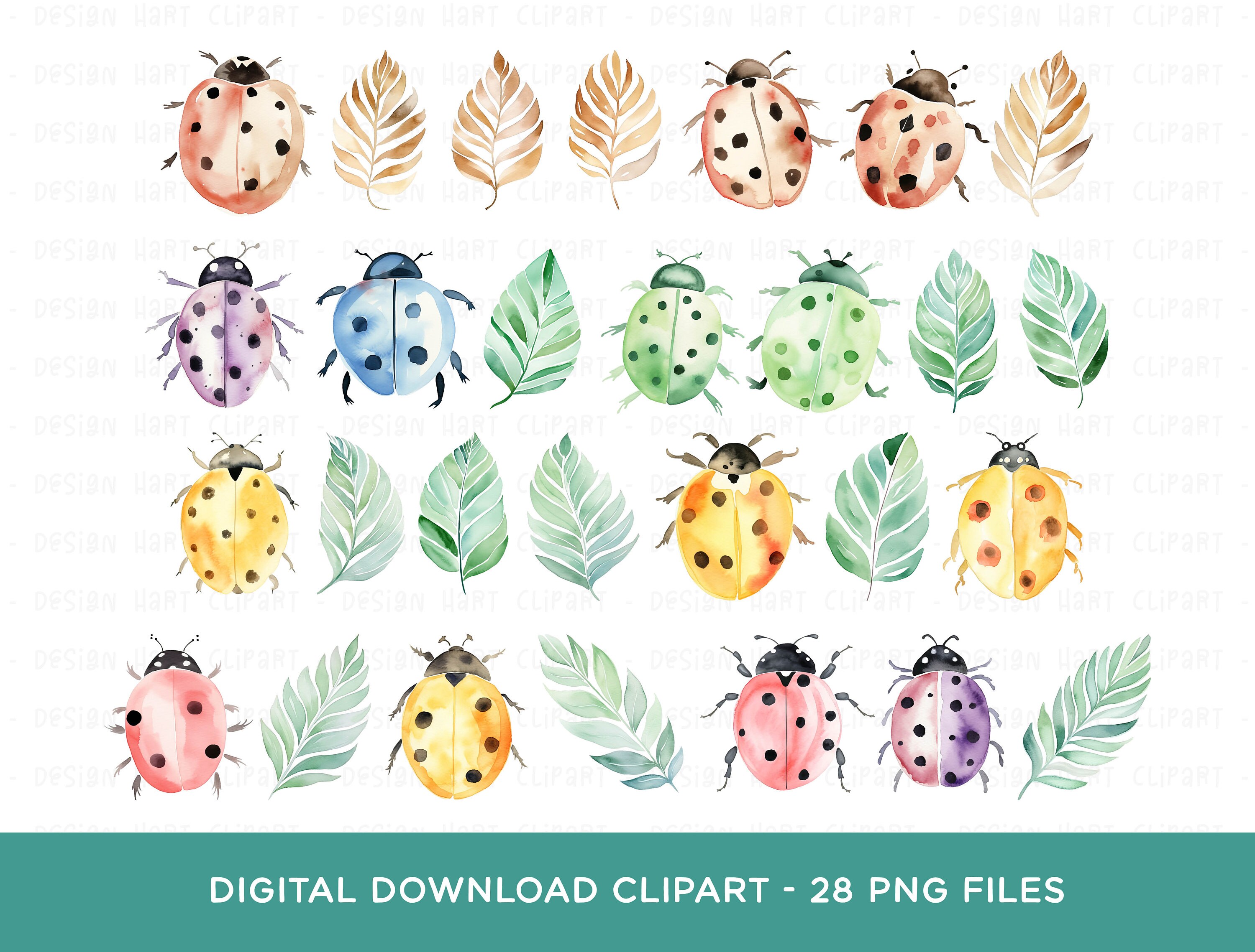 Ladybug Clipart Bundle Set - Watercolor Rainbow Ladybird Insect PNG for ...