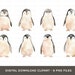Penguins Clipart Bundle Set, Watercolor Pastel Boho Penguin PNG Digital ...