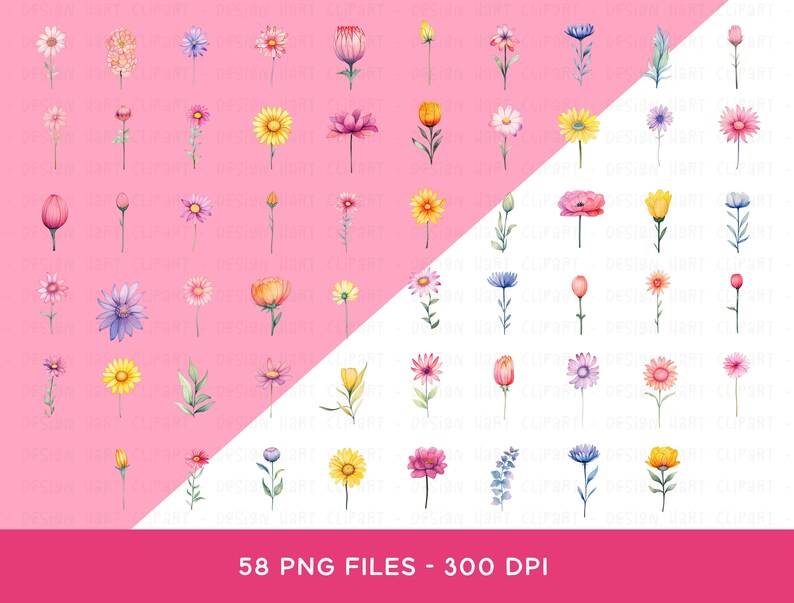 Watercolor Flower Clipart Bundle, Wildflower Graphics PNG Digital ...