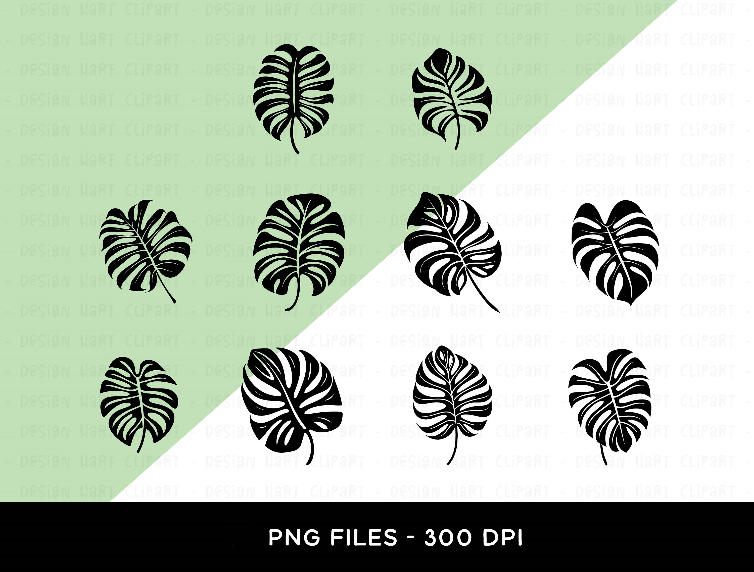 Monstera Leaf Clipart Bundle, SVG PNG Tropical Greenery Silhouette ...