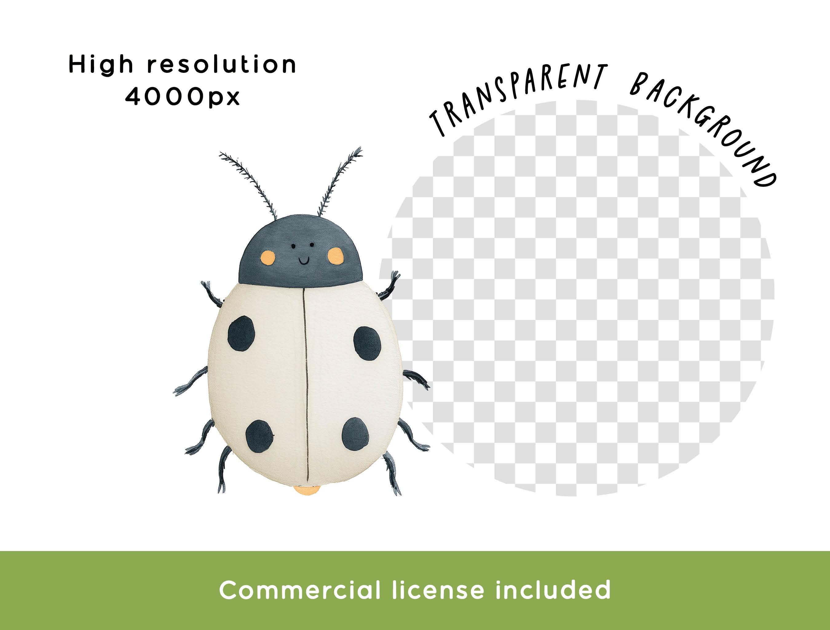 Bugs Clipart Bundle, Cute Ladybug Bee Grasshopper Moth Butterfly ...