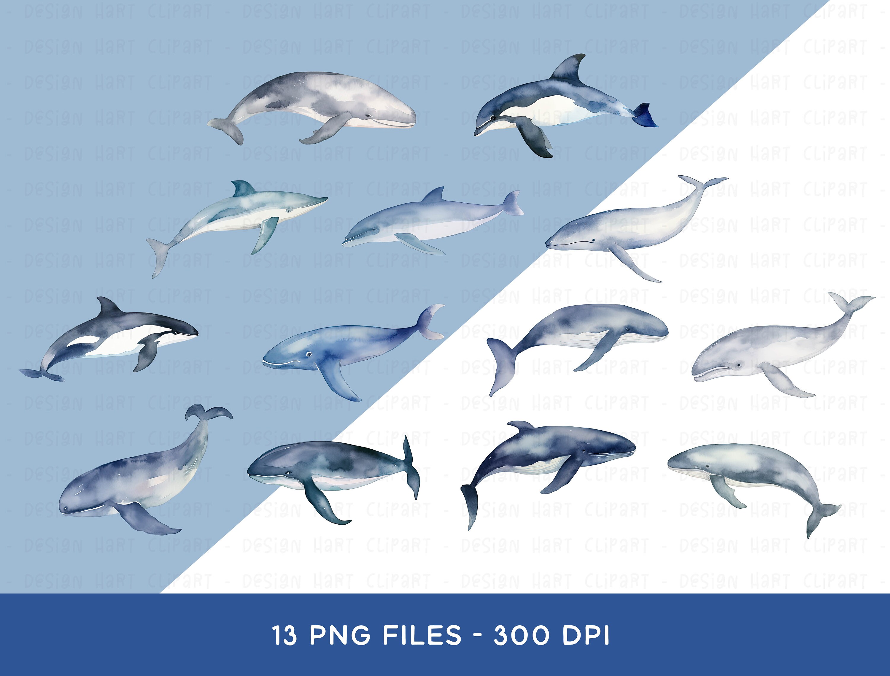Whale Clipart Bundle Set, Watercolor Ocean Creatures Blue Whale PNG ...