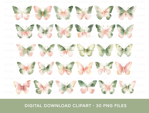 Green And Pink Butterfly Clipart