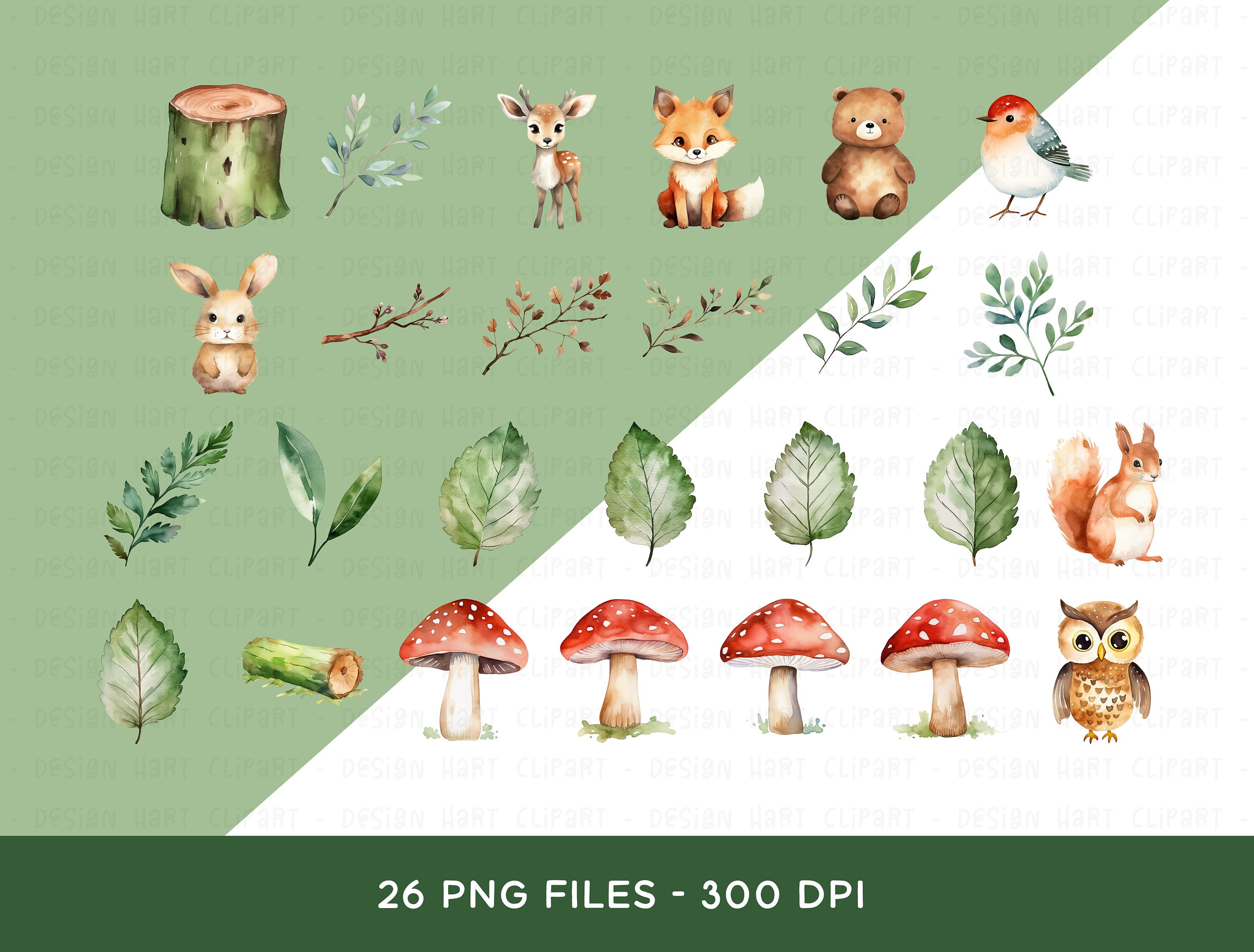 Woodland Animals Watercolor Clipart, Forest Creatures PNG Bundle Cute ...