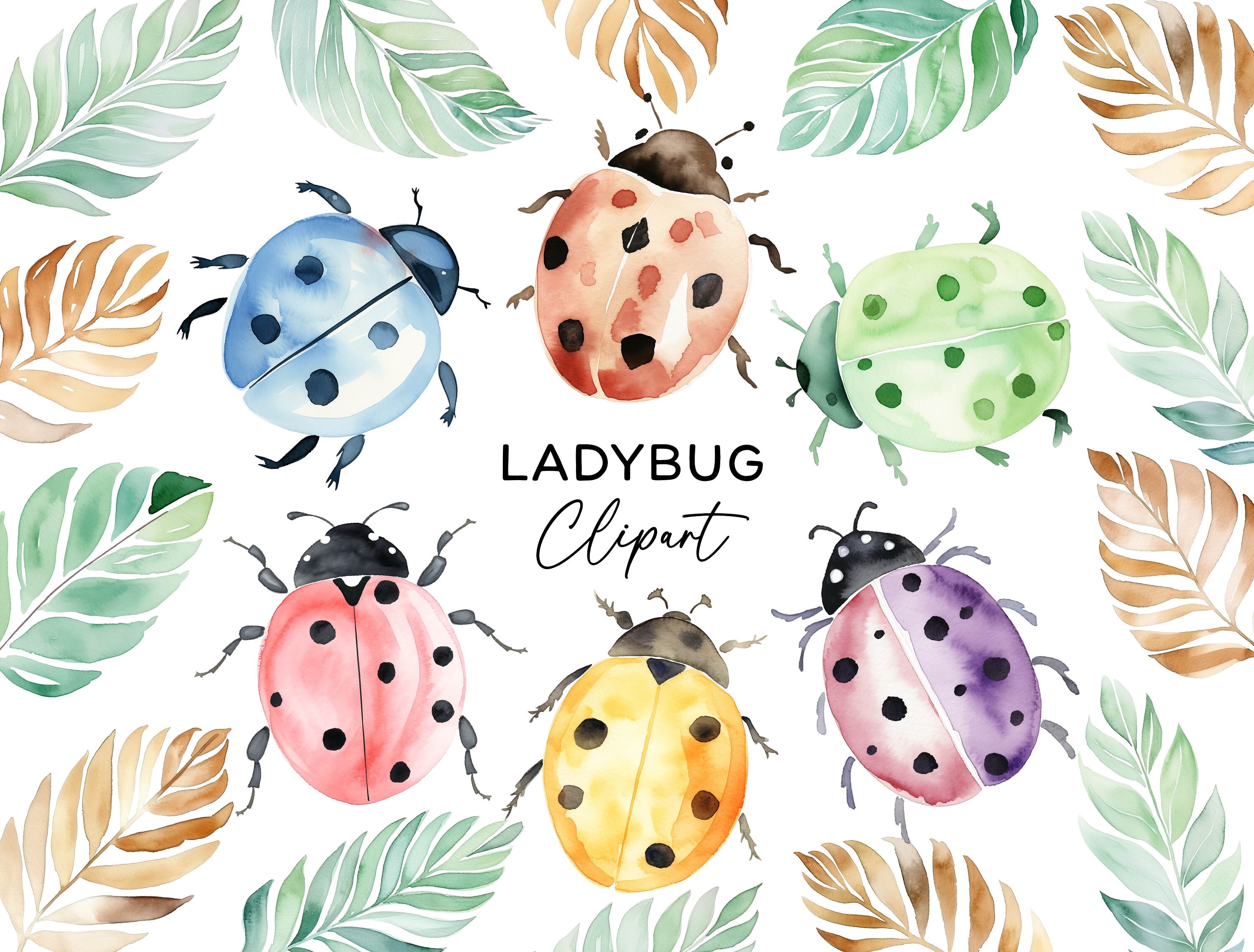 Ladybug Clipart Bundle Set - Watercolor Rainbow Ladybird Insect PNG for ...