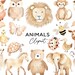 Boho Animal Clipart Bundle Set, PNG Sublimation Graphics Digital ...