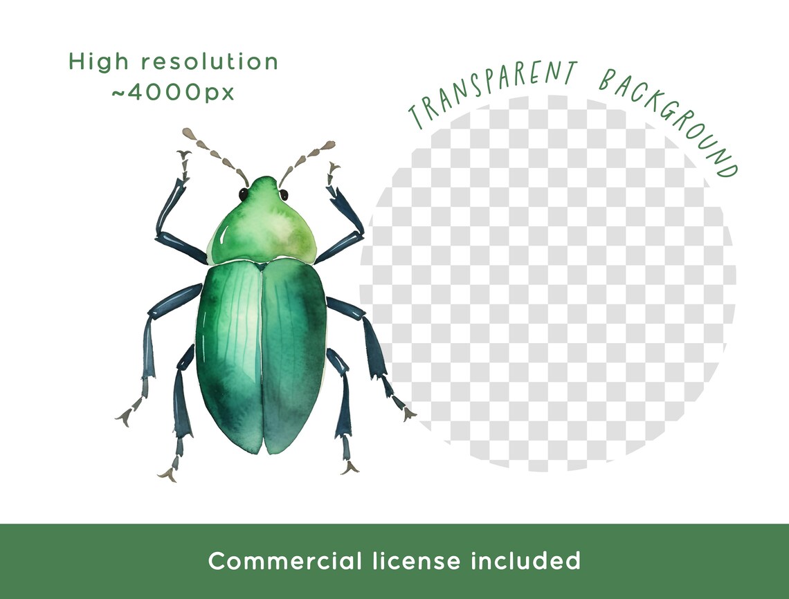 Rainforest Clipart Bundle Set, PNG Sublimation Graphics Digital ...