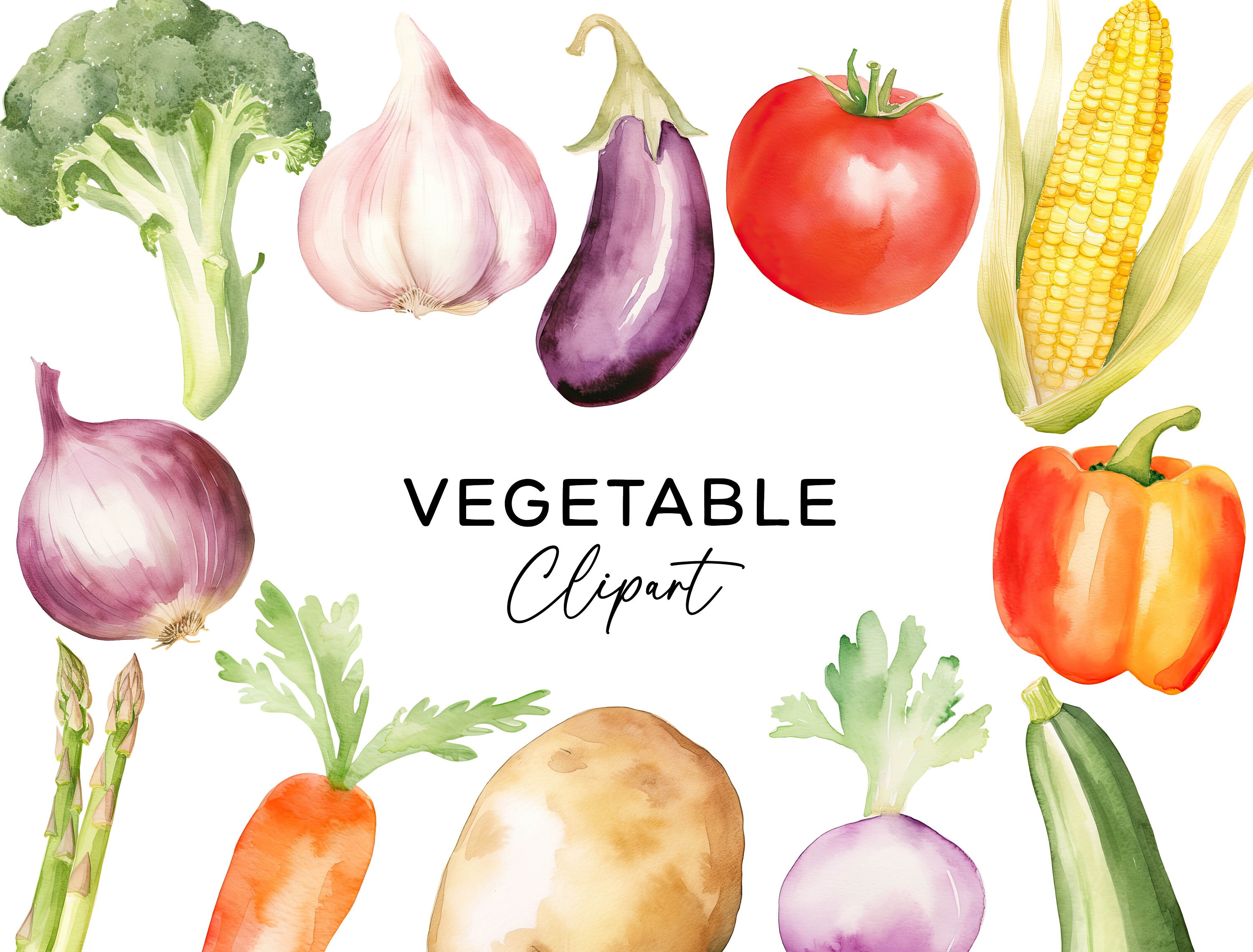 Vegetable Clipart Bundle Set Watercolor Veggies PNG Healthy - Etsy
