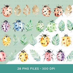 Ladybug Clipart Bundle Set - Watercolor Rainbow Ladybird Insect PNG for ...