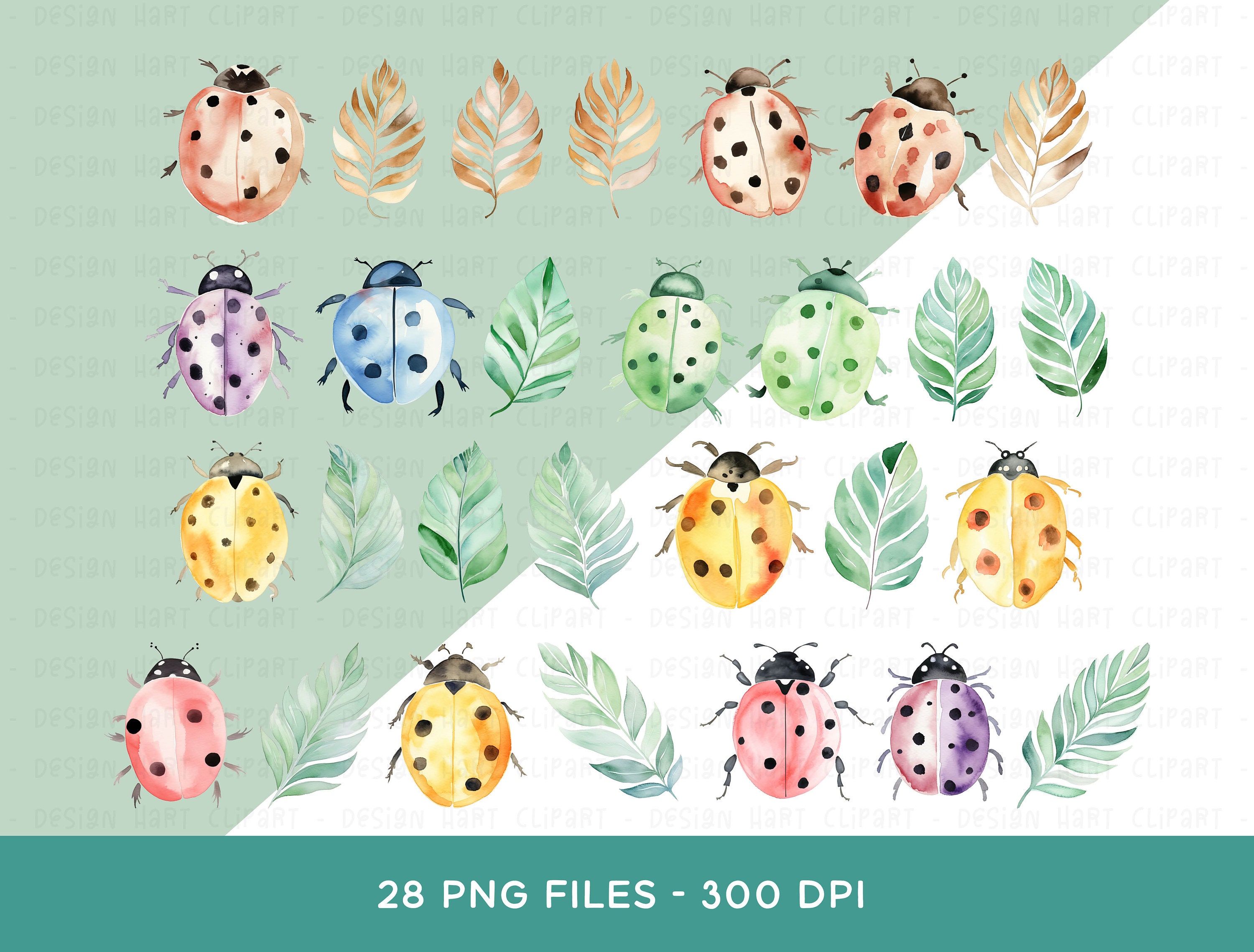 Ladybug Clipart Bundle Set - Watercolor Rainbow Ladybird Insect PNG for ...