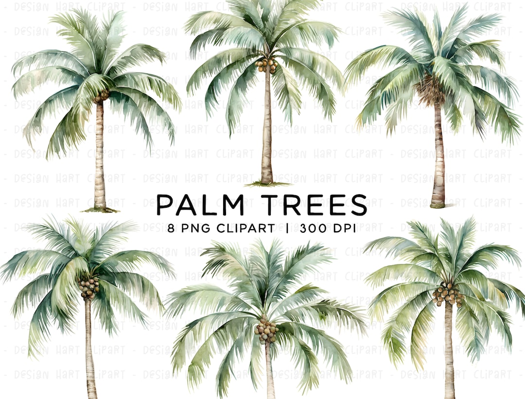 Watercolor Palm Tree Clipart Bundle - Tropical Boho Clip Art Files for ...