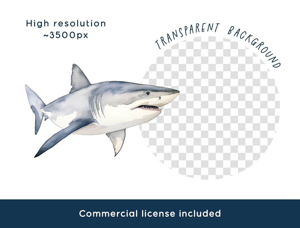 Watercolor Shark Clipart Bundle, Ocean Under the Sea Creatures Shark ...