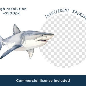 Watercolor Shark Clipart Bundle, Ocean Under the Sea Creatures Shark ...