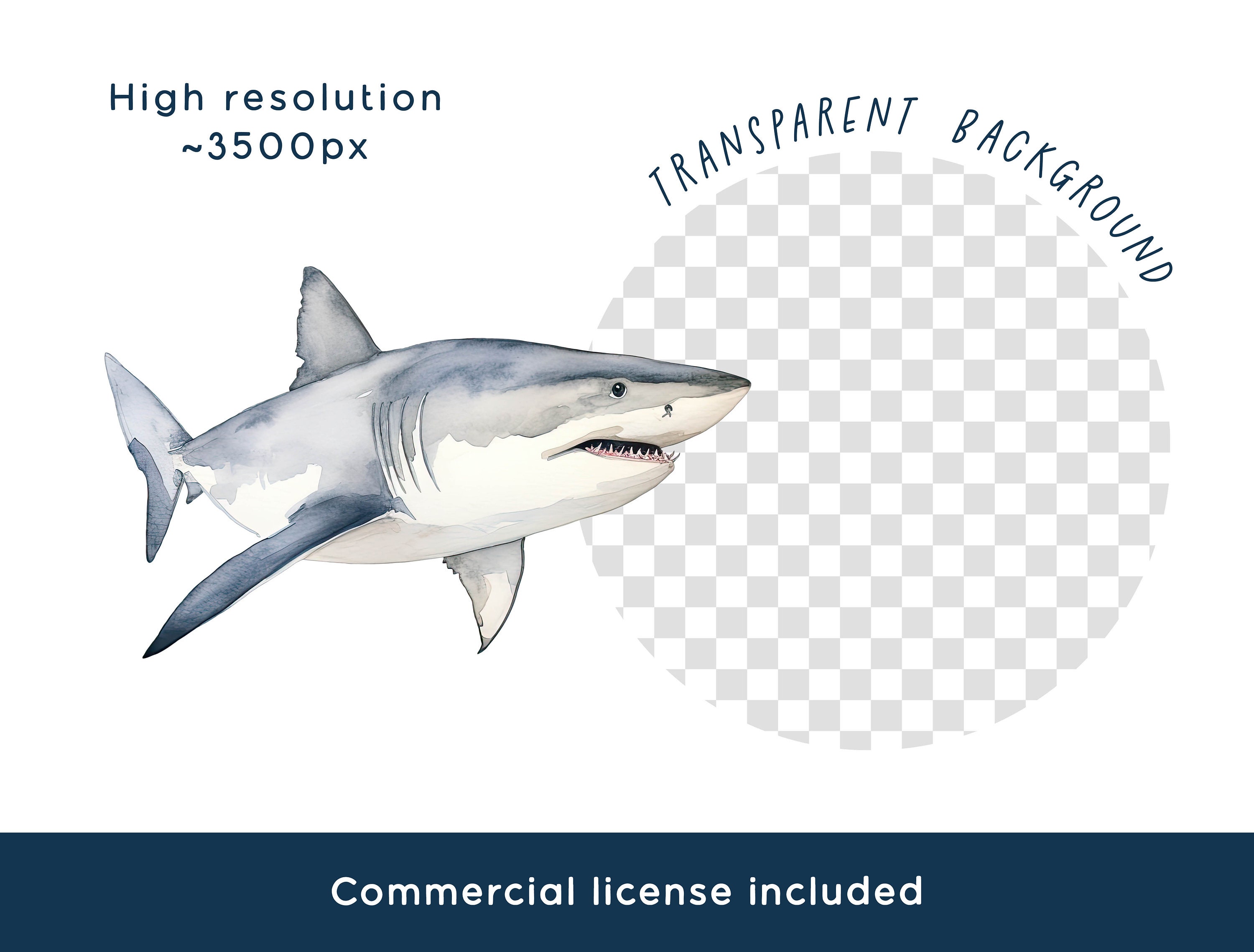 Watercolor Shark Clipart Bundle, Ocean Under the Sea Creatures Shark ...