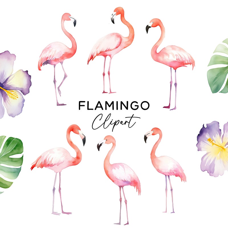 Flamingo Clip Art - Etsy