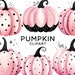 Halloween Pumpkin Clipart Bundle, Pink & Black Pumpkins PNG Digital ...