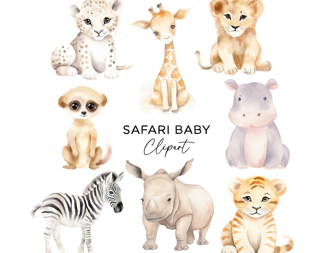 Baby Animals Clipart Bundle - Safari Jungle Zoo Lion Watercolor PNG for ...